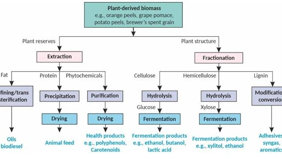Figure 3. The process of producing value-added products / Acquisition ...